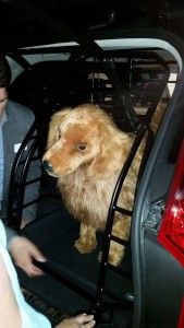 My 2016 Volvo XC90 Luxury SUV Experience