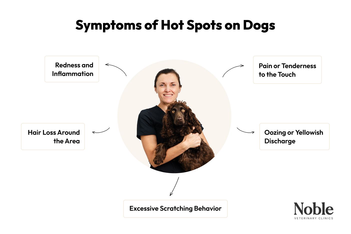 How to Identify and Treat Hot Spots on Dogs - OurKidsMom